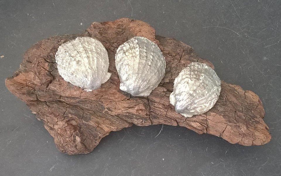 shell tin - JANE ADAMS CERAMICS